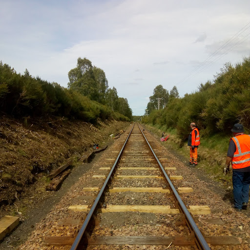 On Track at the Strathspey Railway: Flailing & Re-sleepering - 11th ...