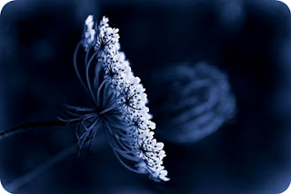 AZ INDIGÓ ÜZENETE: Újabb magánbeszélgetés Nancy Tappe-el (2002-ben)