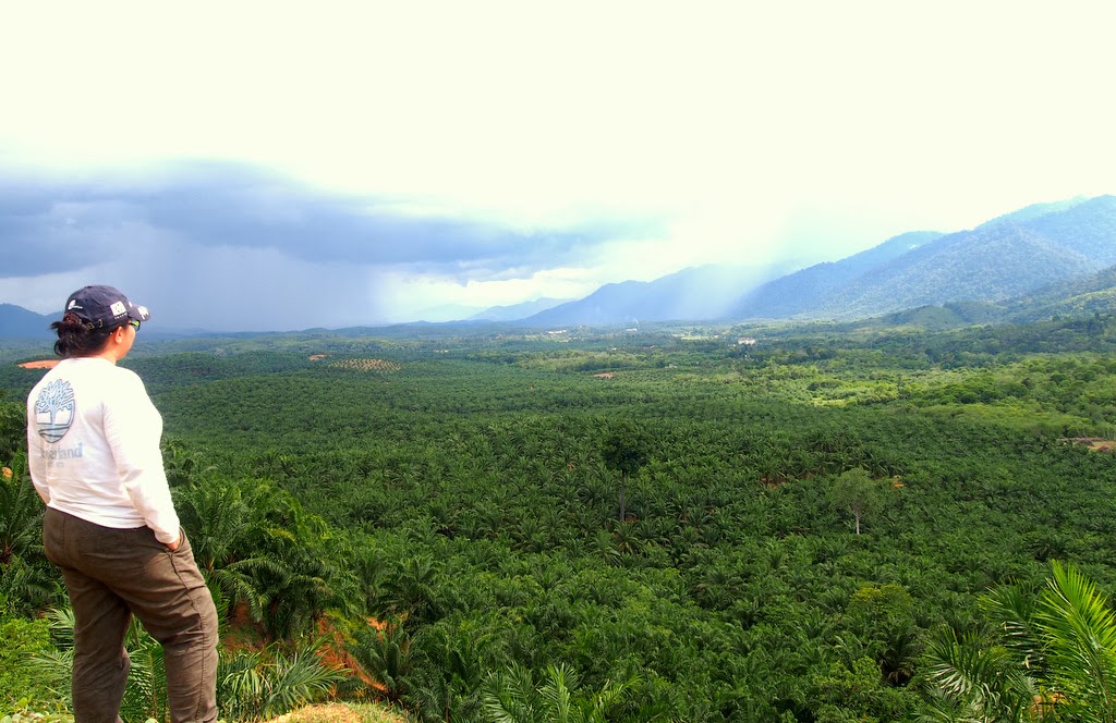 Travelholic: Tasik Raban of Lenggong Valley