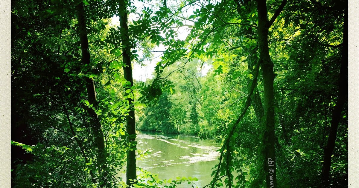 Beth Fish Reads: Wordless Wednesday 458