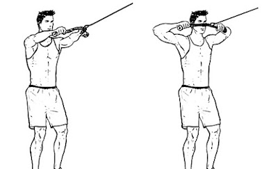 motivation,Fitness&health: Face pull con polea.