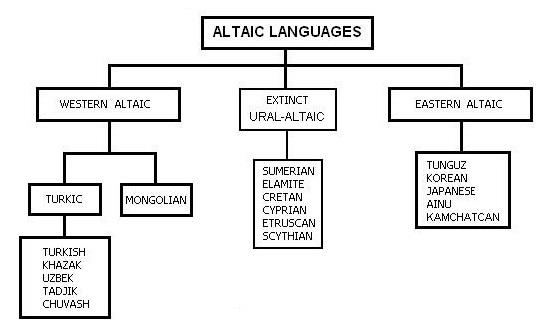 EUROPEAN - TURKMEN FRIENDSHIPS: Altaic languages