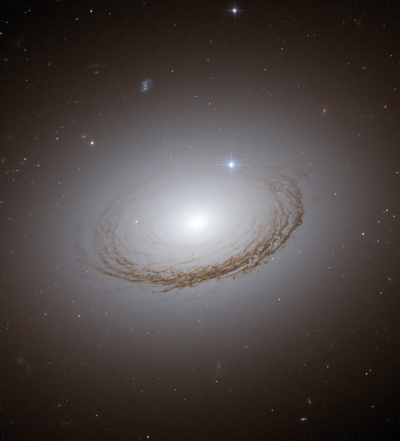 NGC 7049, galaxia lenticular.