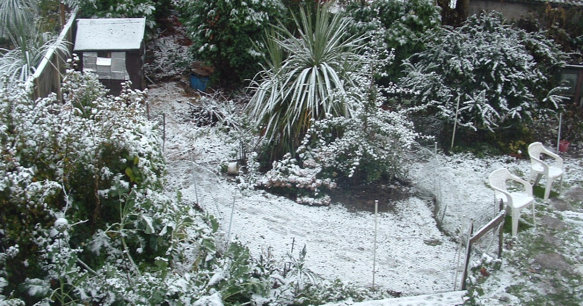 Galadriel's Garden: First frost