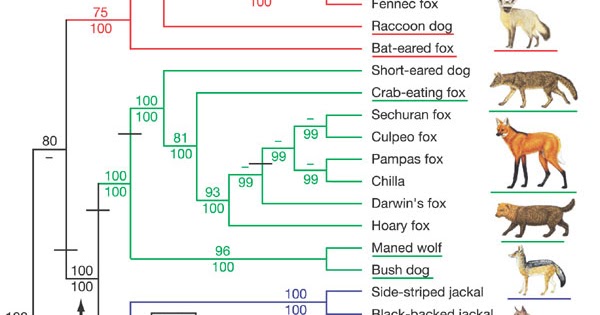 Modern Science refutes the Evolutionary theory: The End of the ... Modern Science refutes the Evolutionary theory: The End of the ...