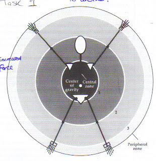 Movement Study Task 1, 2 and 3