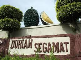 Bandar Segamat