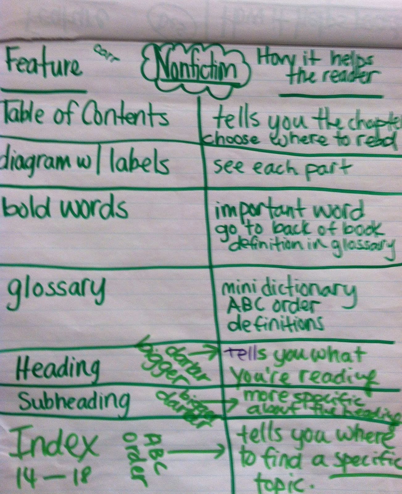 Everything Library: We're In a Book!