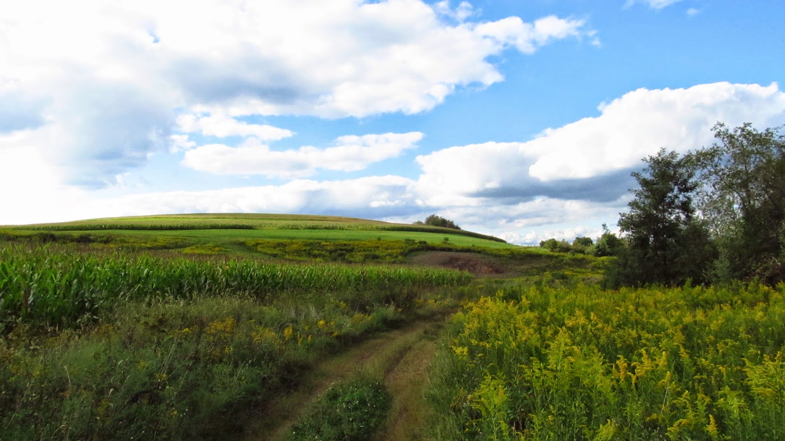 Old Industry of Southwestern Pennsylvania : Sewickley Branch Of The ...