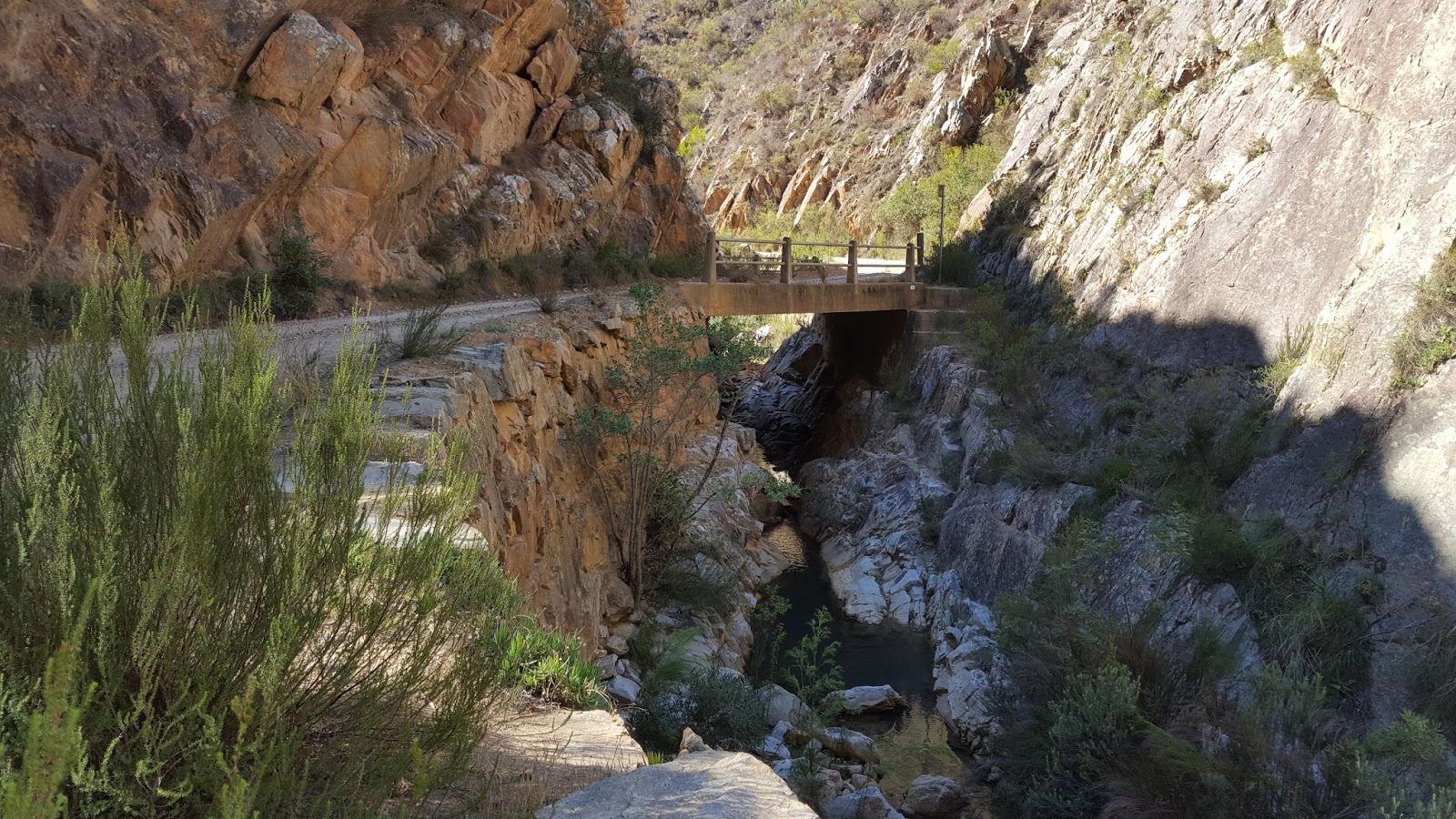 Mischas Reiseseite: Knysna und der Prince Alfred Pass