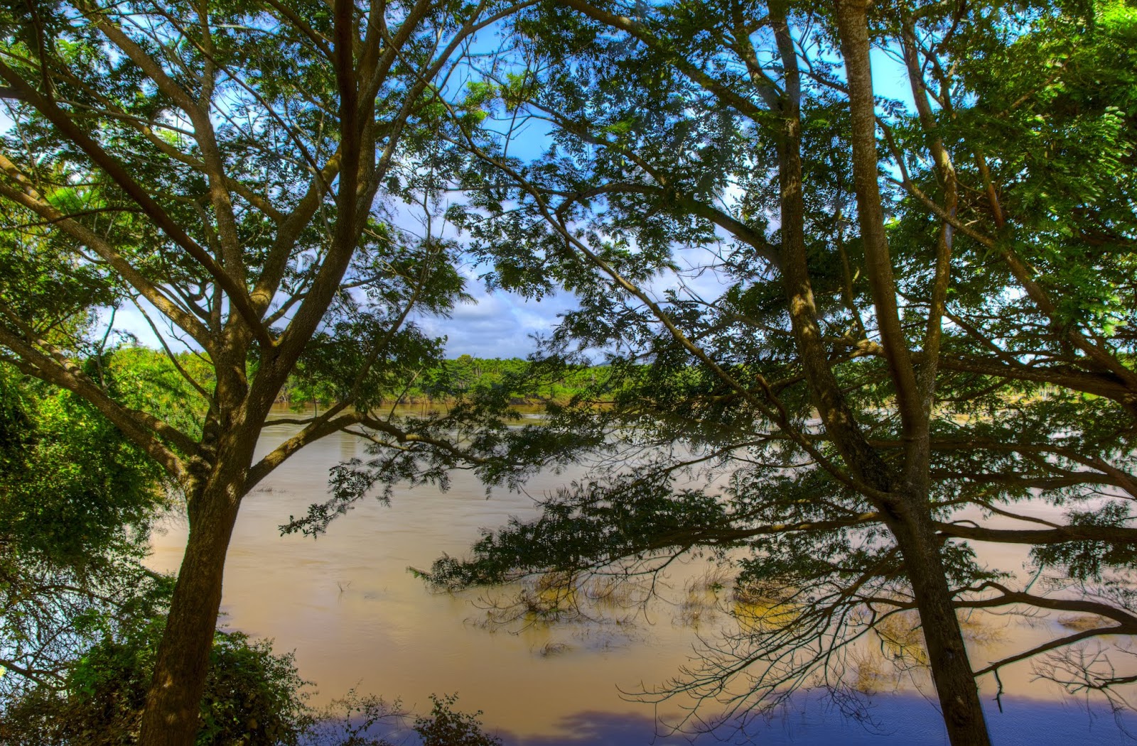 Random Scribbling: Splendid revisit to Koodli