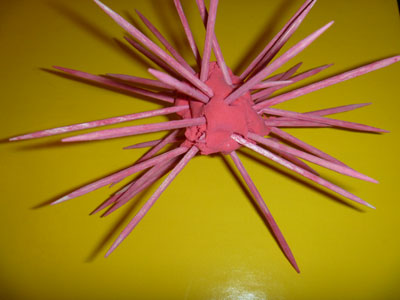 Save Green Being Green: Try It Tuesday - Sea Urchin Craft