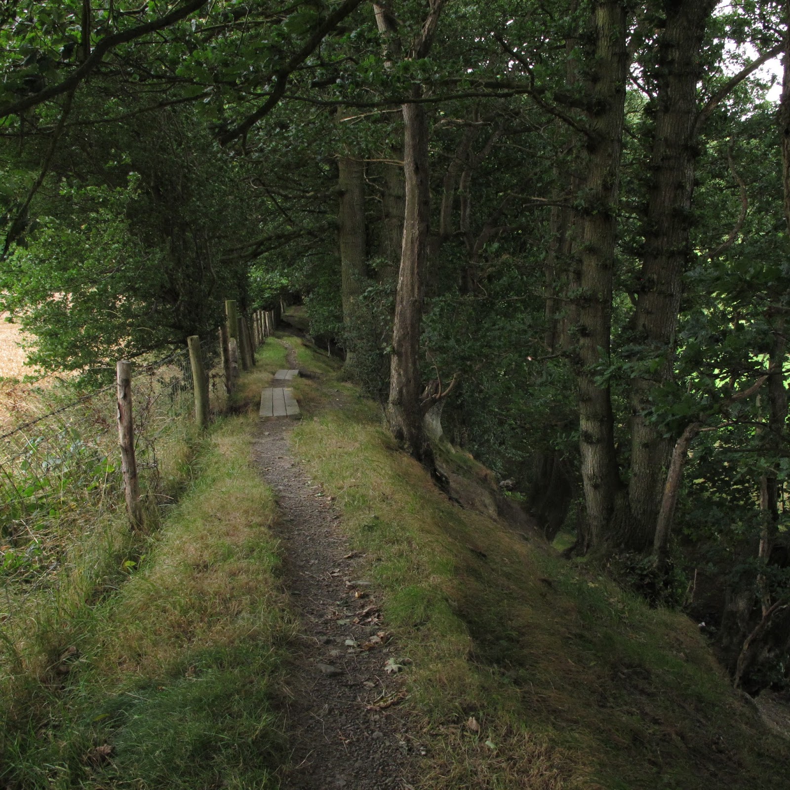 Fleeting Capture: Offa's Dyke, Part 1: Tracing History