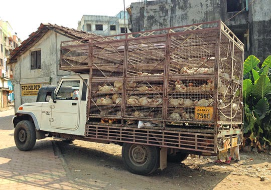 Horn OK Please: October 2014