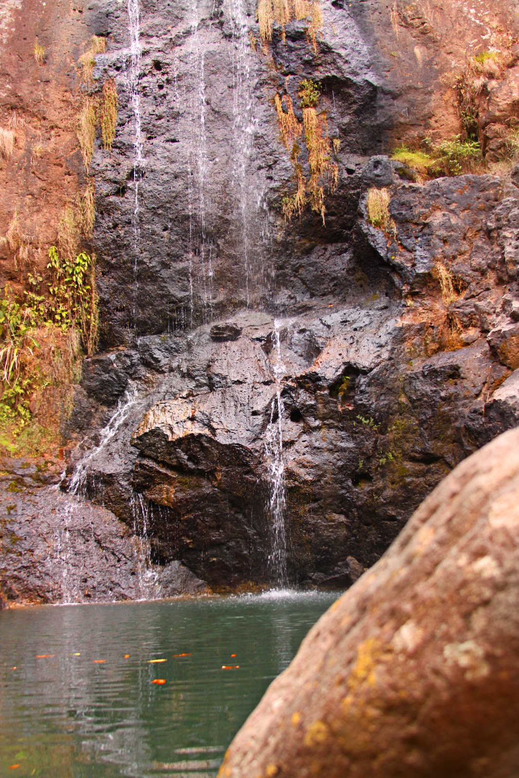 Beatriz Aguilera: Río sapo y Cascada del Perol