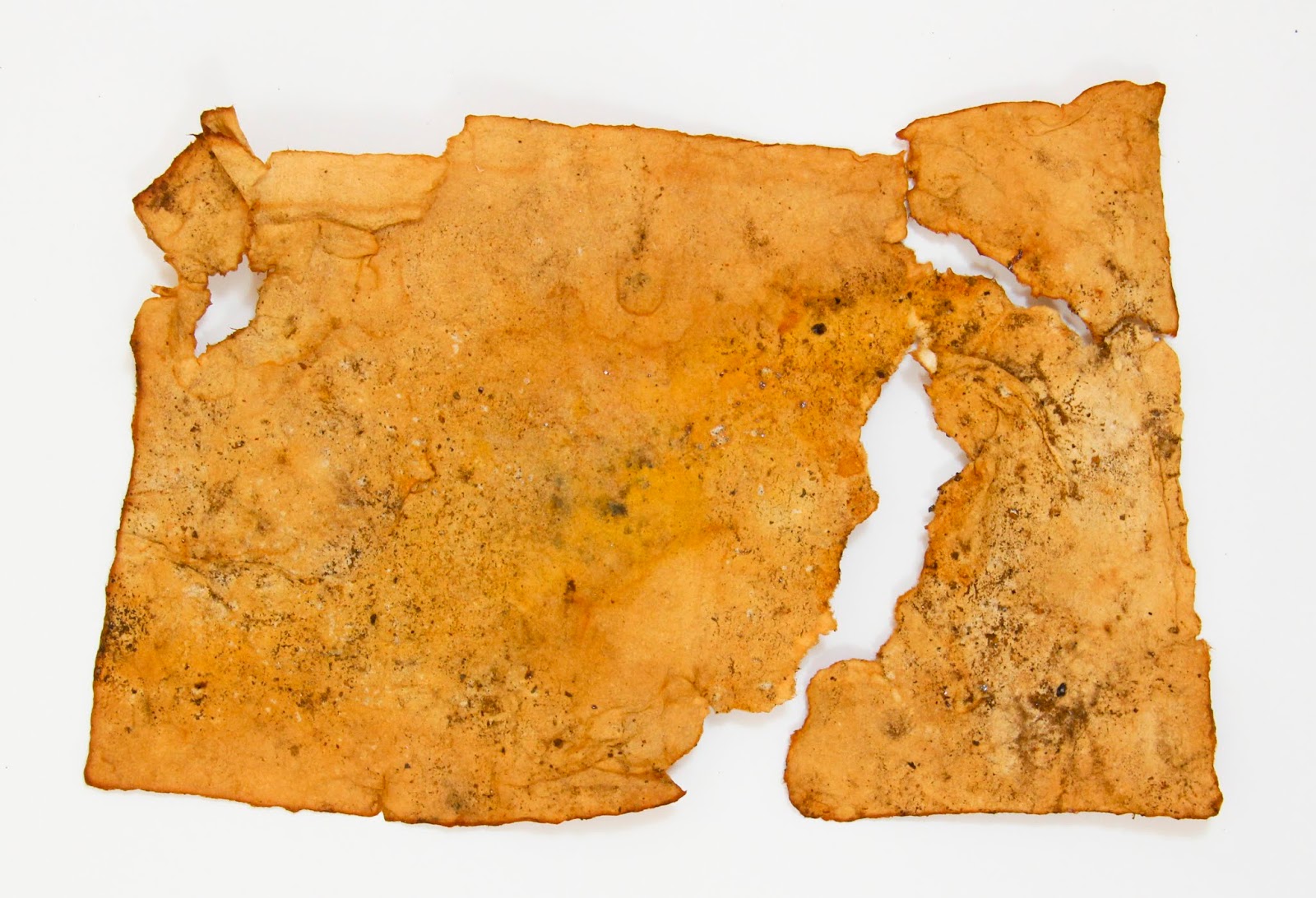 Rust Dyeing on Paper