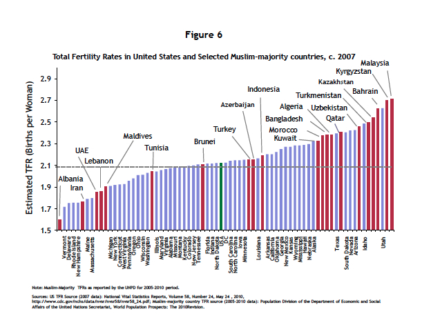 Declining fertility rates and changing demographics in the Muslim World ...