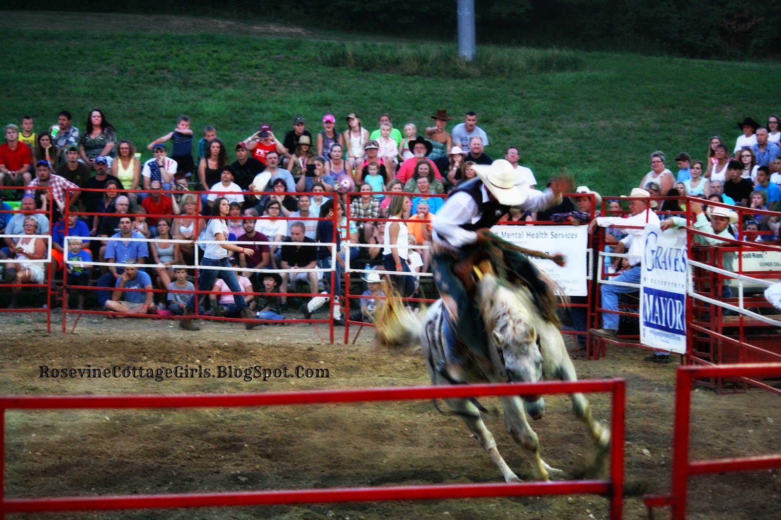 Bold Enough Challenge Rodeo