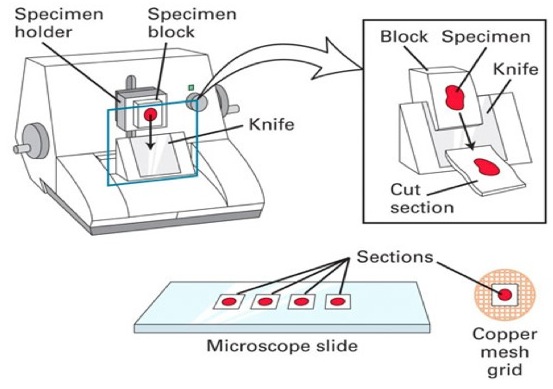 Lecture Notes in Medical Technology: Cutting of Sections