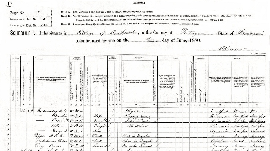 A Roe Blog: 1880 US Federal Census: Anna ROE
