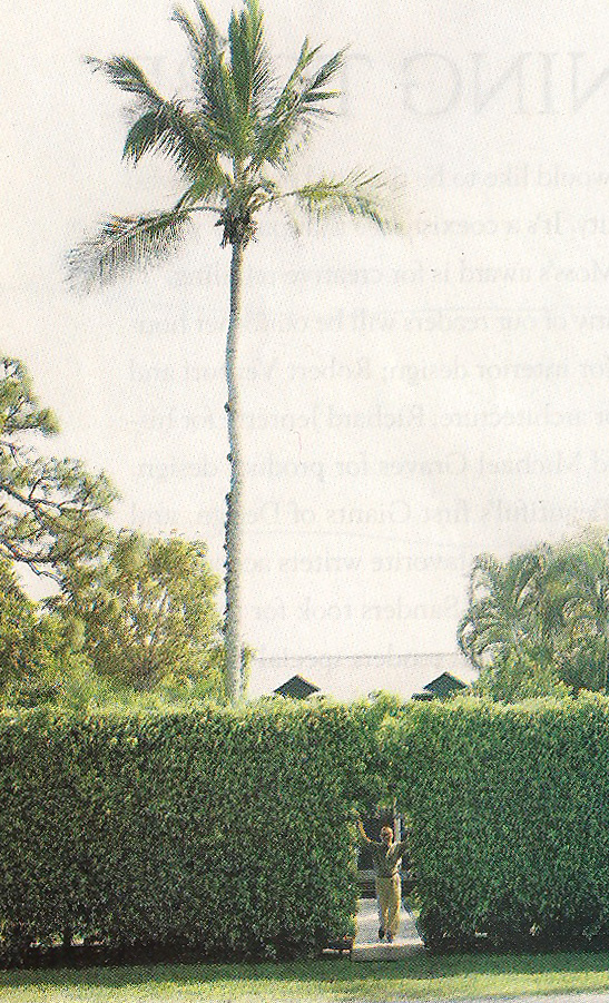 The Devoted Classicist: 2012