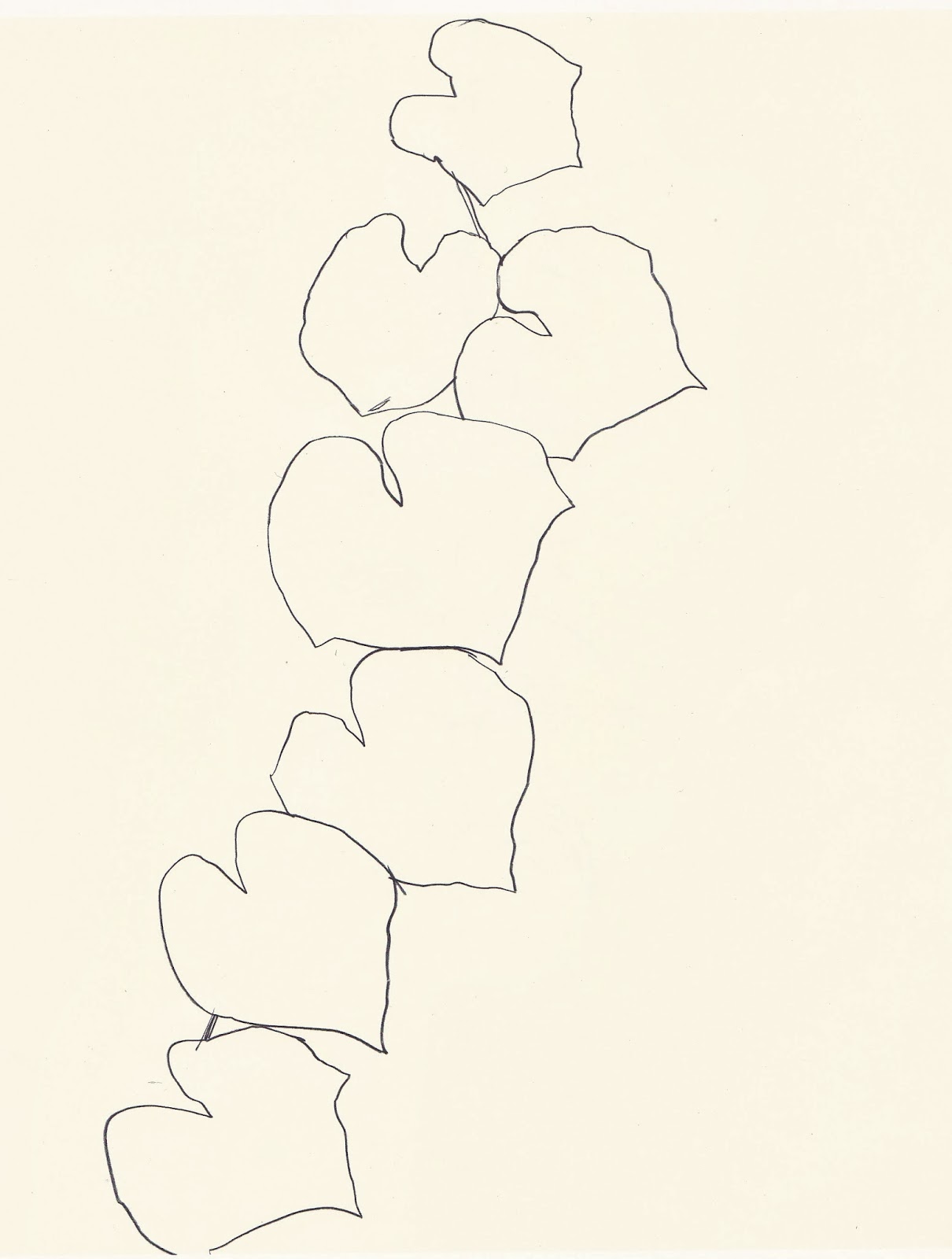 Ellsworth Kelly, Flower Drawing | Ellsworth kelly, Dessin plante, Dessin