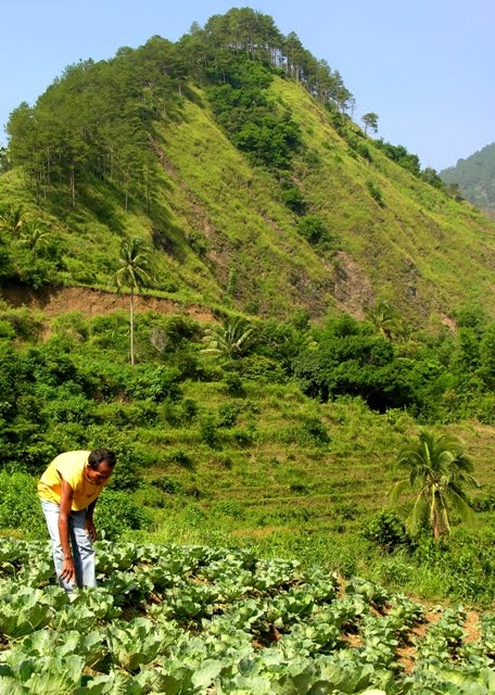 mybeautifulILOILO: BUCARI: The Freshness and Vastness of Leon