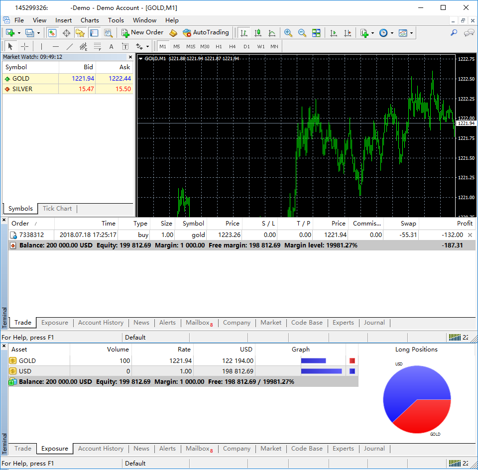 JotMyNotes: MT4 Leverage, Margin, Balance, Equity, Free Margin