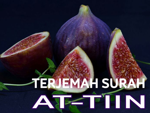 TERJEMAH SURAH AT-TIIN AYAT 6 - 8 -by- Makna Al-Qur'an