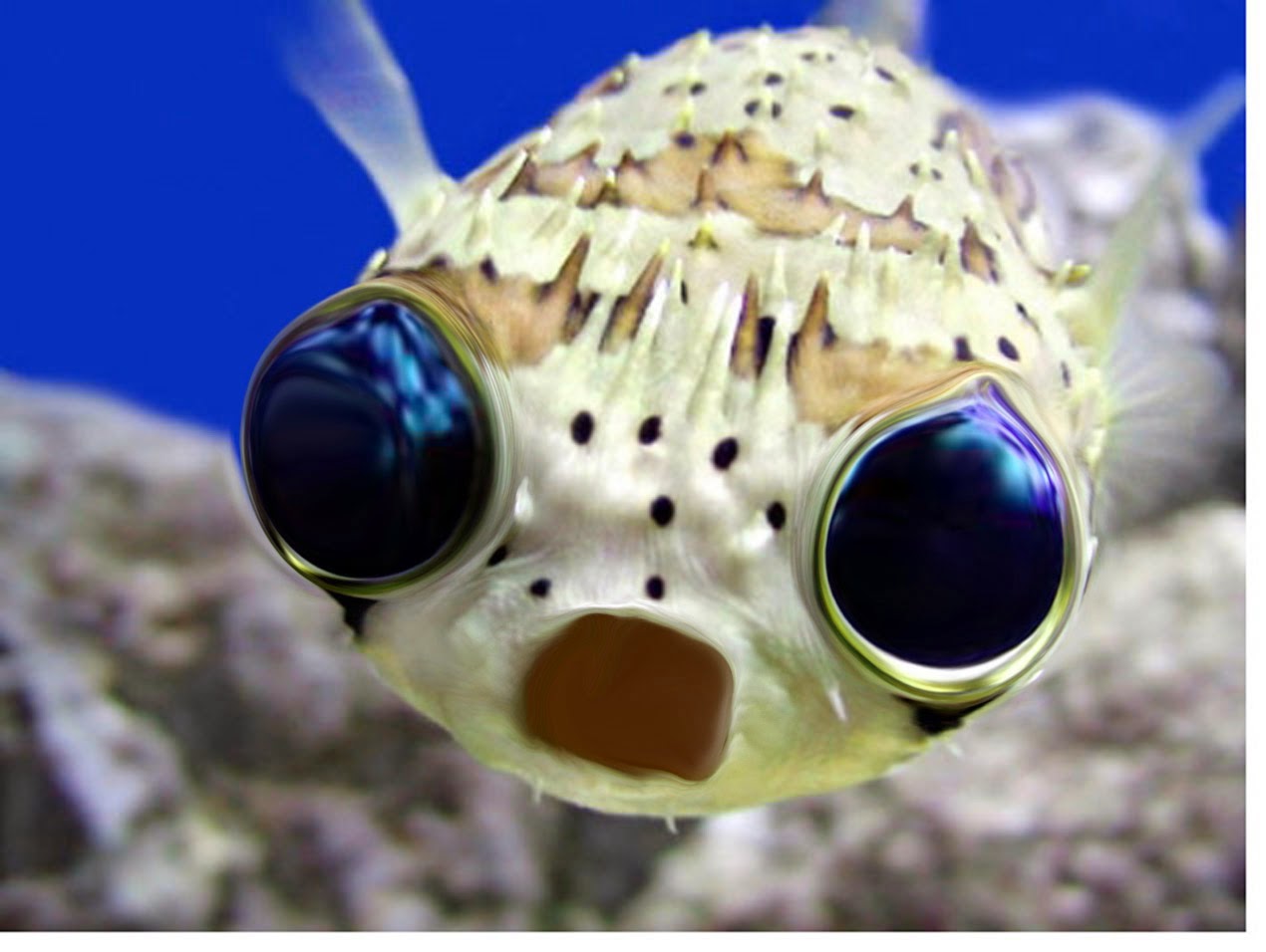 Media Arts Year 9 2014: Media Arts EMOTIONS TASK - Surprised