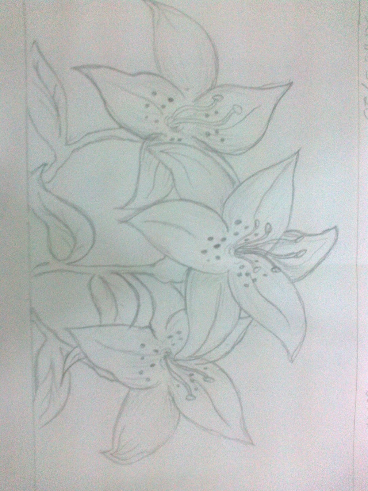 16+ Inspirasi Paling Baru Sketsa Bunga Lili