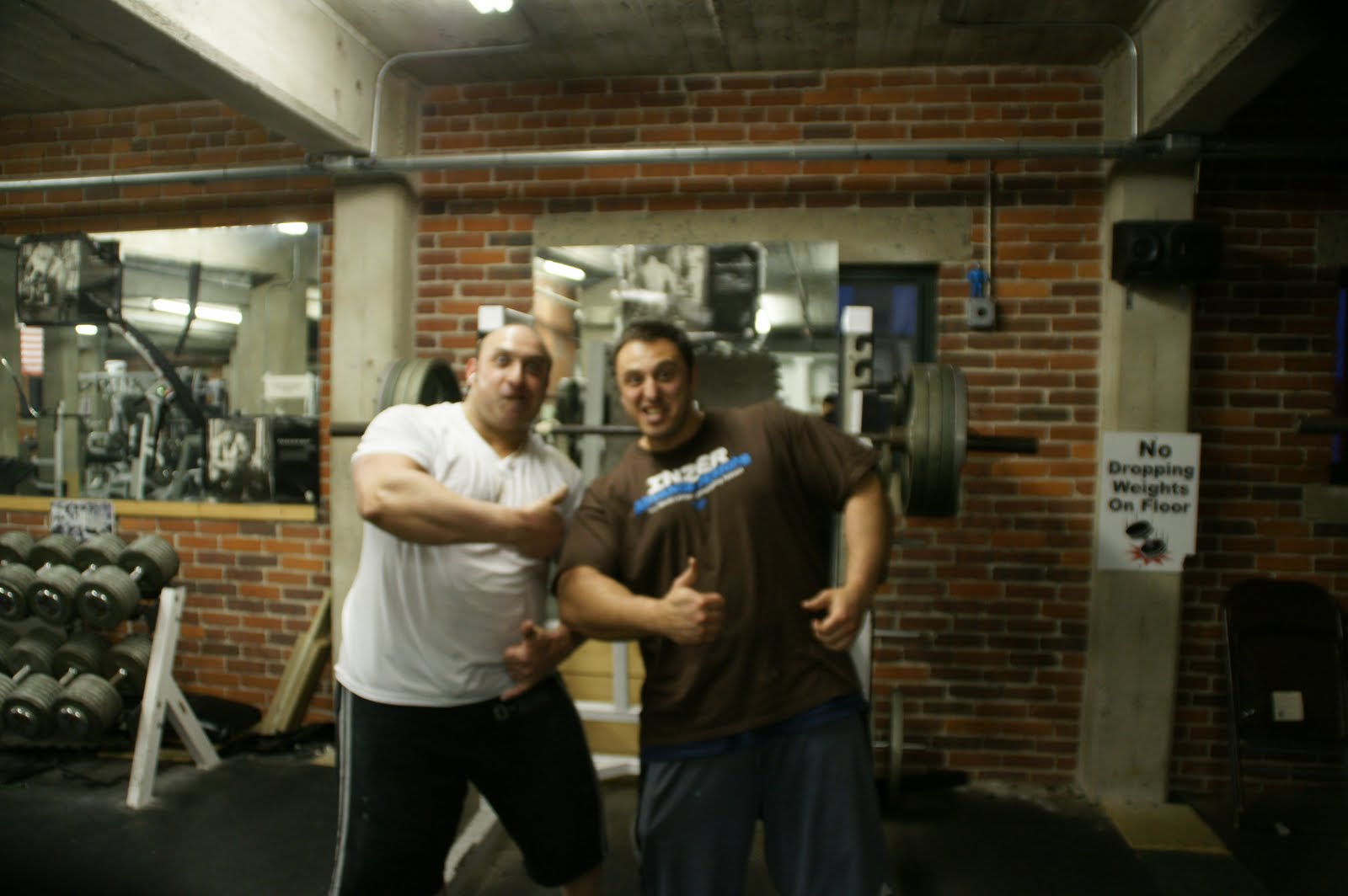 auger experiment: the auger experiment part 9 gorillas in the gym