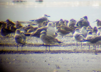 Jan Axel's Blog: November 2013