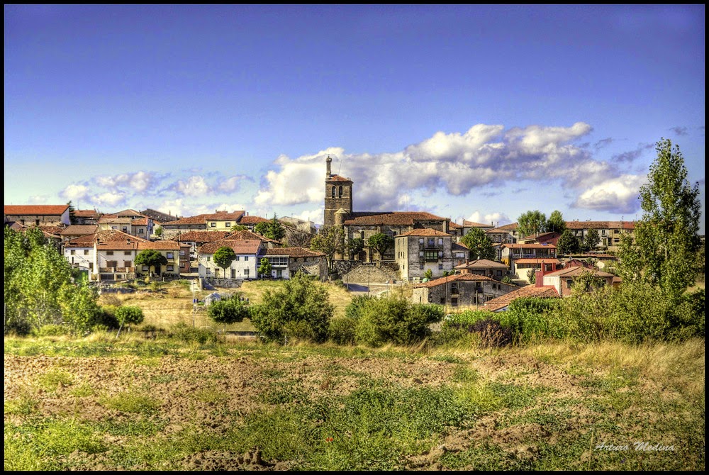 El Día De Abejar: Fotos de Abejar
