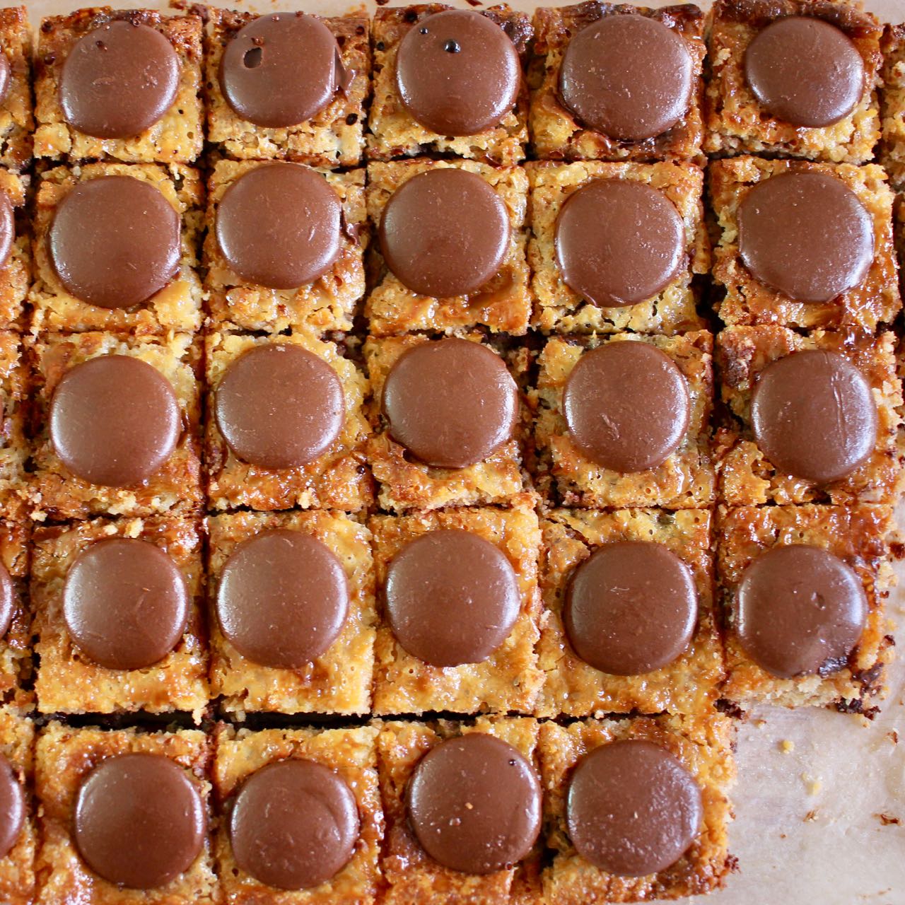 Green Gourmet Giraffe: Sloth slice (Easy choc chip slice)