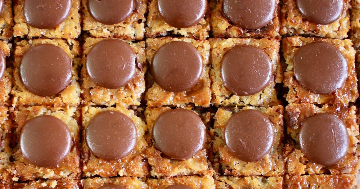 Green Gourmet Giraffe: Sloth slice (Easy choc chip slice)