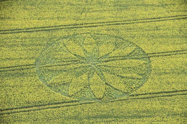 EL MISTERIO DE LOS AGROGLIFOS O CROP CIRCLES - Temas de Actualidad