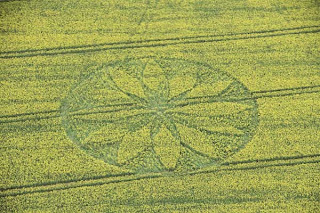 EL MISTERIO DE LOS AGROGLIFOS O CROP CIRCLES - Temas de Actualidad