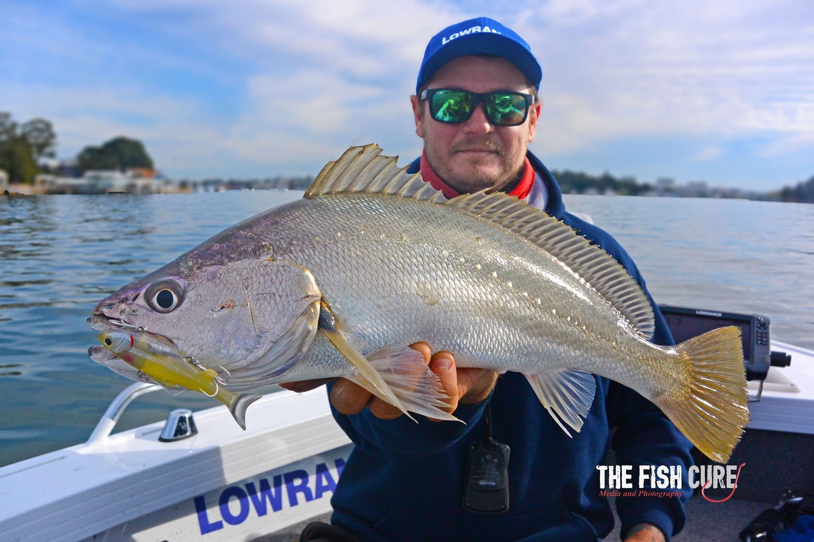 The Fish Cure: THE MULLOWAY CIRCLE