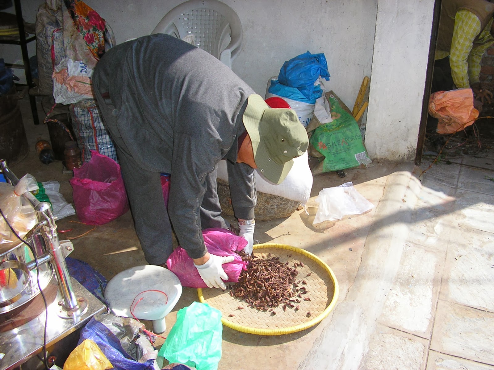 Journey Without Goal: Making Tibetan medicine with Amchi Tsering Zangcho