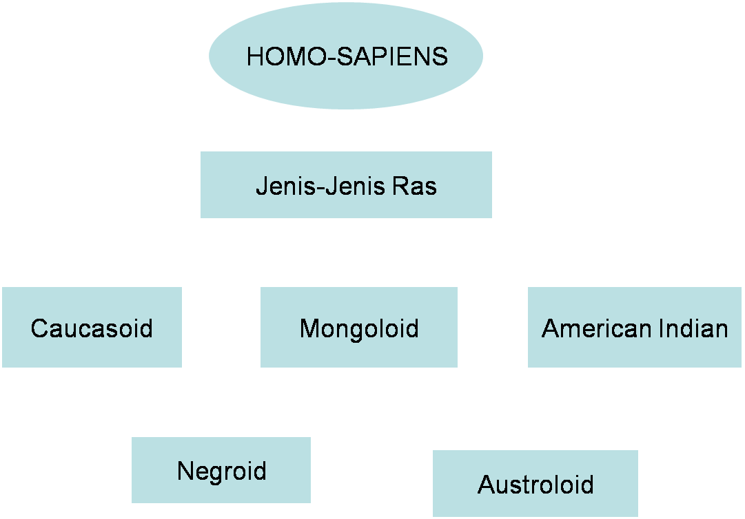 BUDAYA DAN KEPELBAGAIAN KELOMPOK DI MALAYSIA: RAS