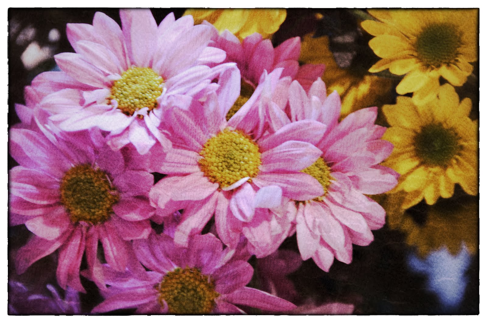 Floristería VerdePimienta: La flor de Abril