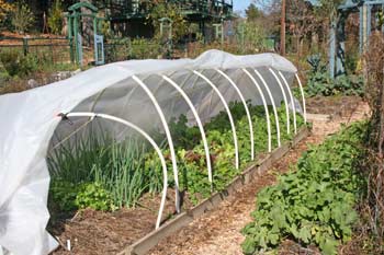 Ozarks Gardening: Winter Cold Frames