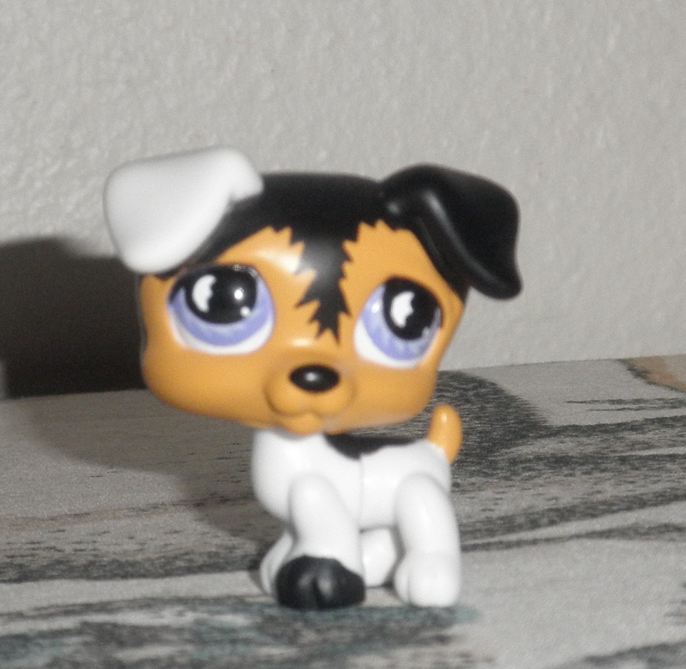Collectomania: LPS Dogs Part 2