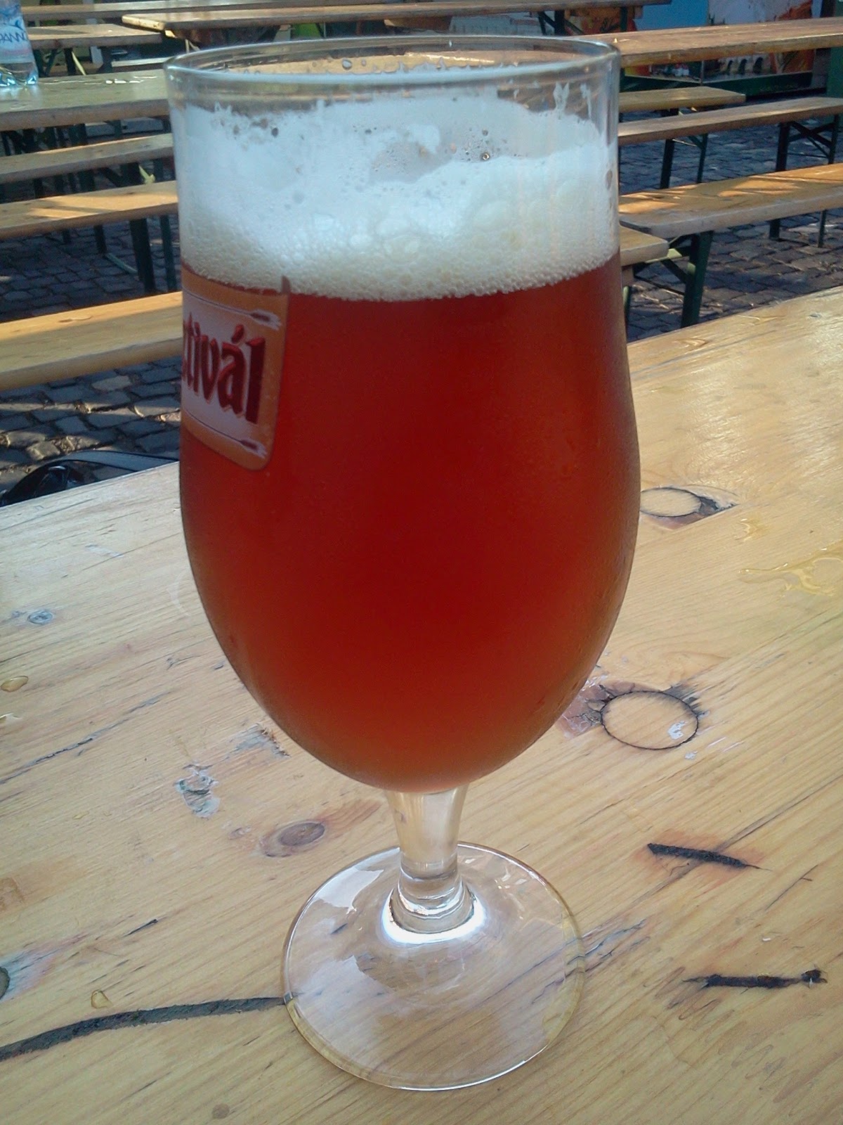 Hopfanatic Bodz IPA - Average Guy's Guide to Beer