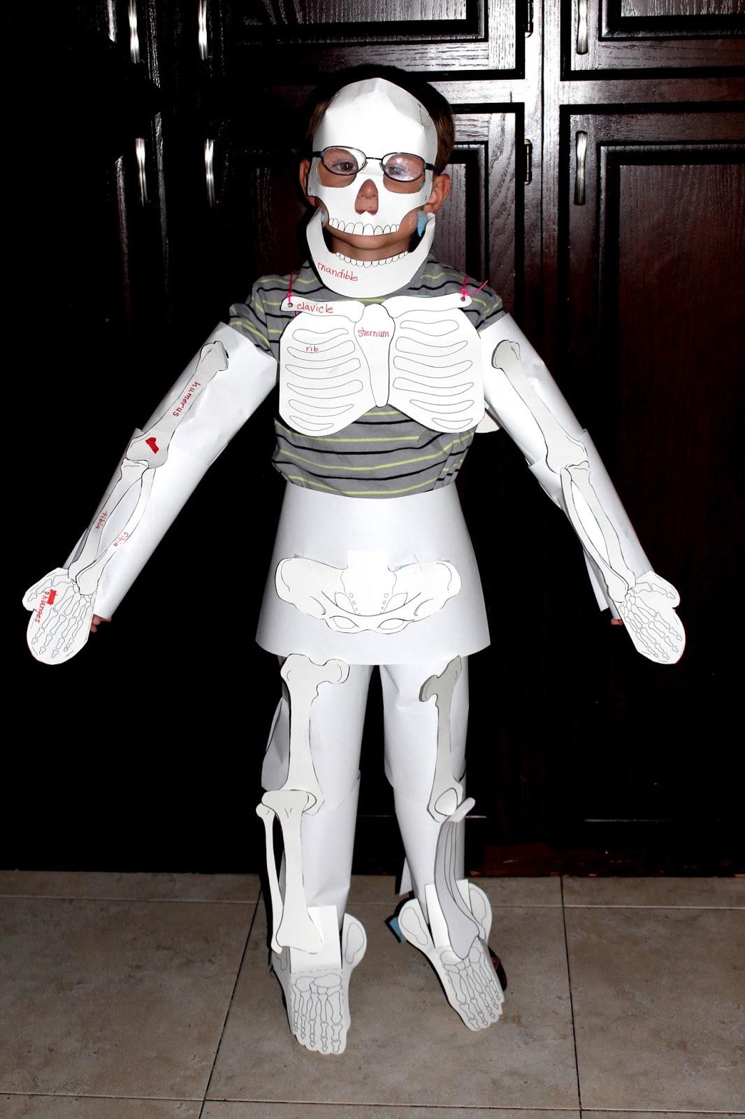 Wendy's Bookworks: Interactive Skeleton: Wear It - Label It - Display It