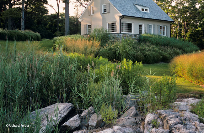 the garden: The New American Garden