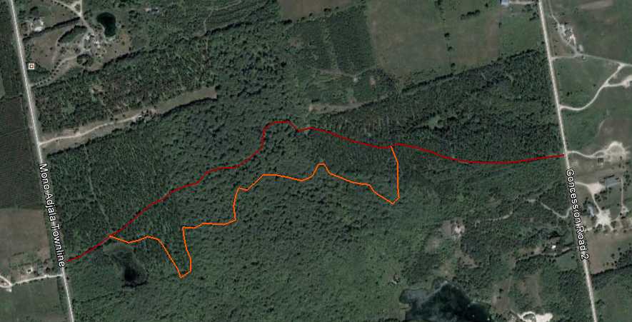 Hiking in Ontario: Patterson Tract - Simcoe County Forest