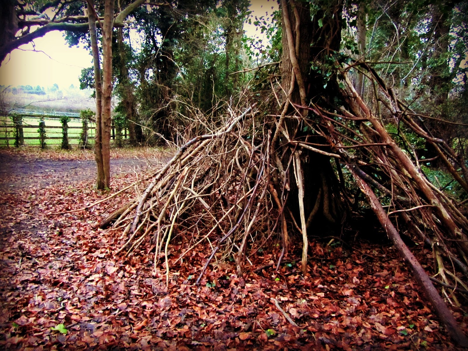 Forest Dens - Decor Apartment Interior Design