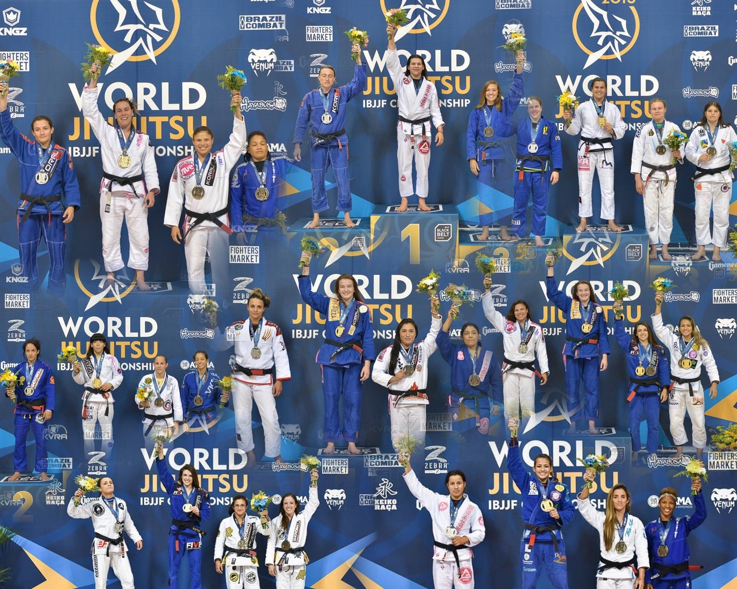IBJJF World Jiu Jitsu Championship 2015 ~ maxbjj